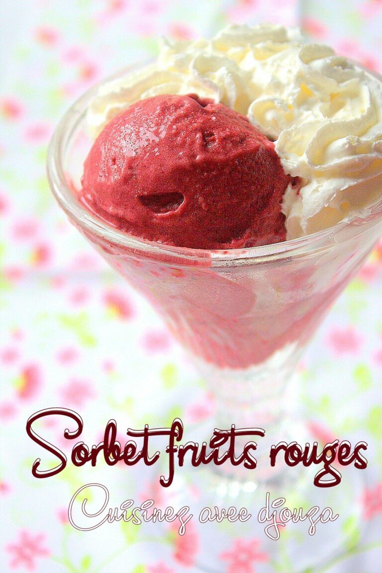 Sorbet aux fruits rouges surgelés (sorbetière)