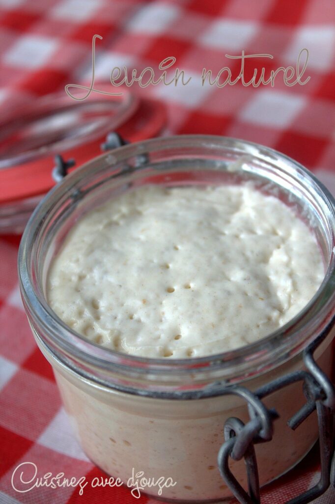 Faire son Levain Maison et Réussir son démarrage